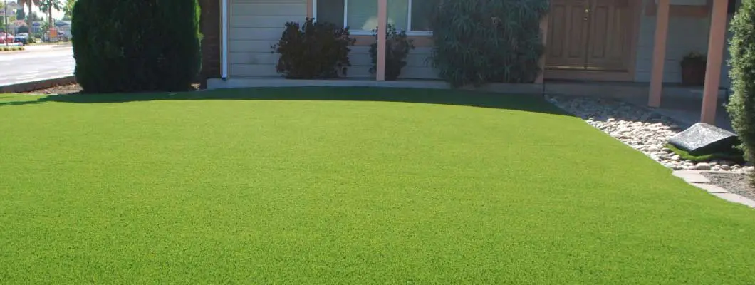 Lawn Grass Basics & Care