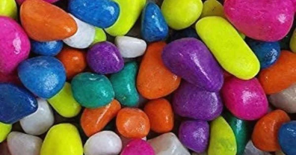 Enhance Your Garden with Vibrant Multicolor Pebbles | Shop Now