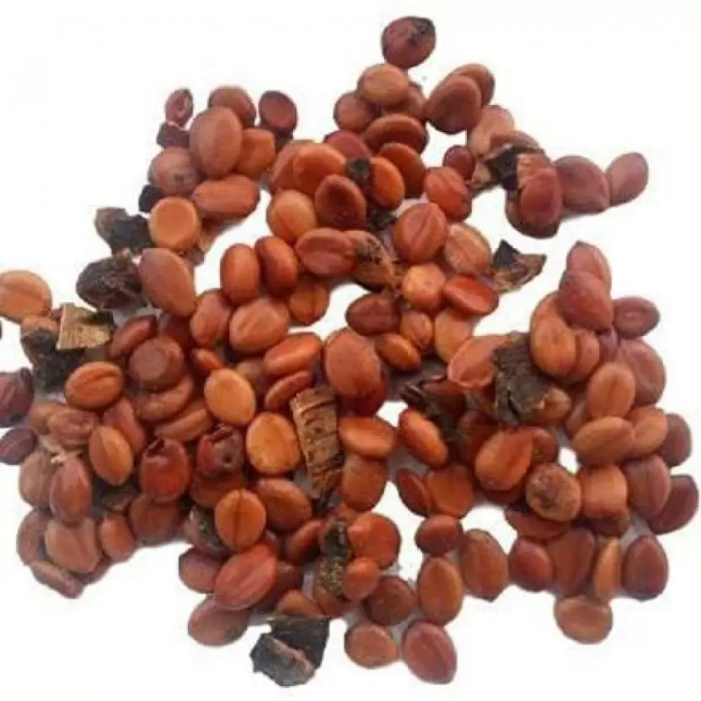 Buy Cassia Fistula Yellow Flower Amaltas Ornamental Plant Flower Seeds | Hobbyplus.in | Free ...