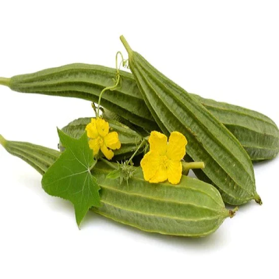 Buy Ridge Gourd Vegetable Seeds | Hobbyplus.in | Free Shipping