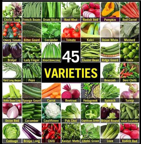 Indian Vegetable Seeds High Quality Vegetable Seeds |indian Asian Thai