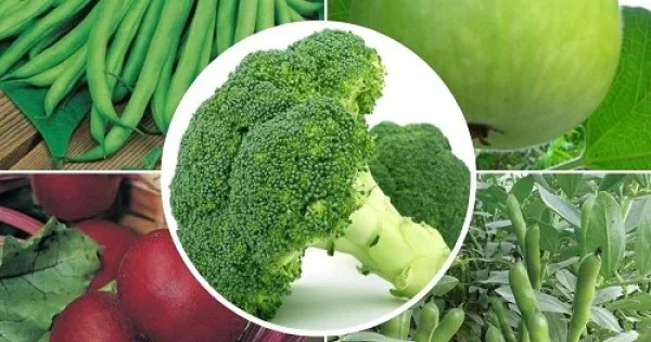 Buy Fava Beans, French Bean, Bottle Gourd, Beetroot, Broccoli Vegetable ...